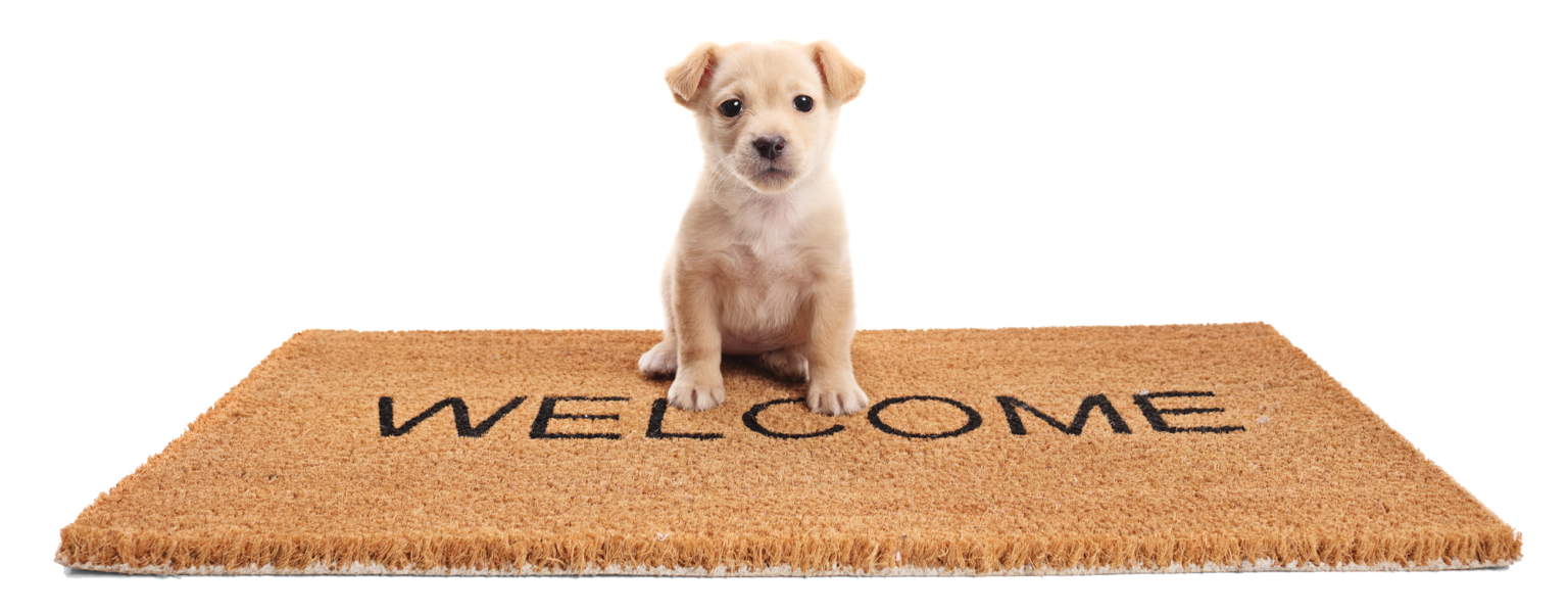 Theme 6: I Build! I Create! – Frog Street Pre-K At Home